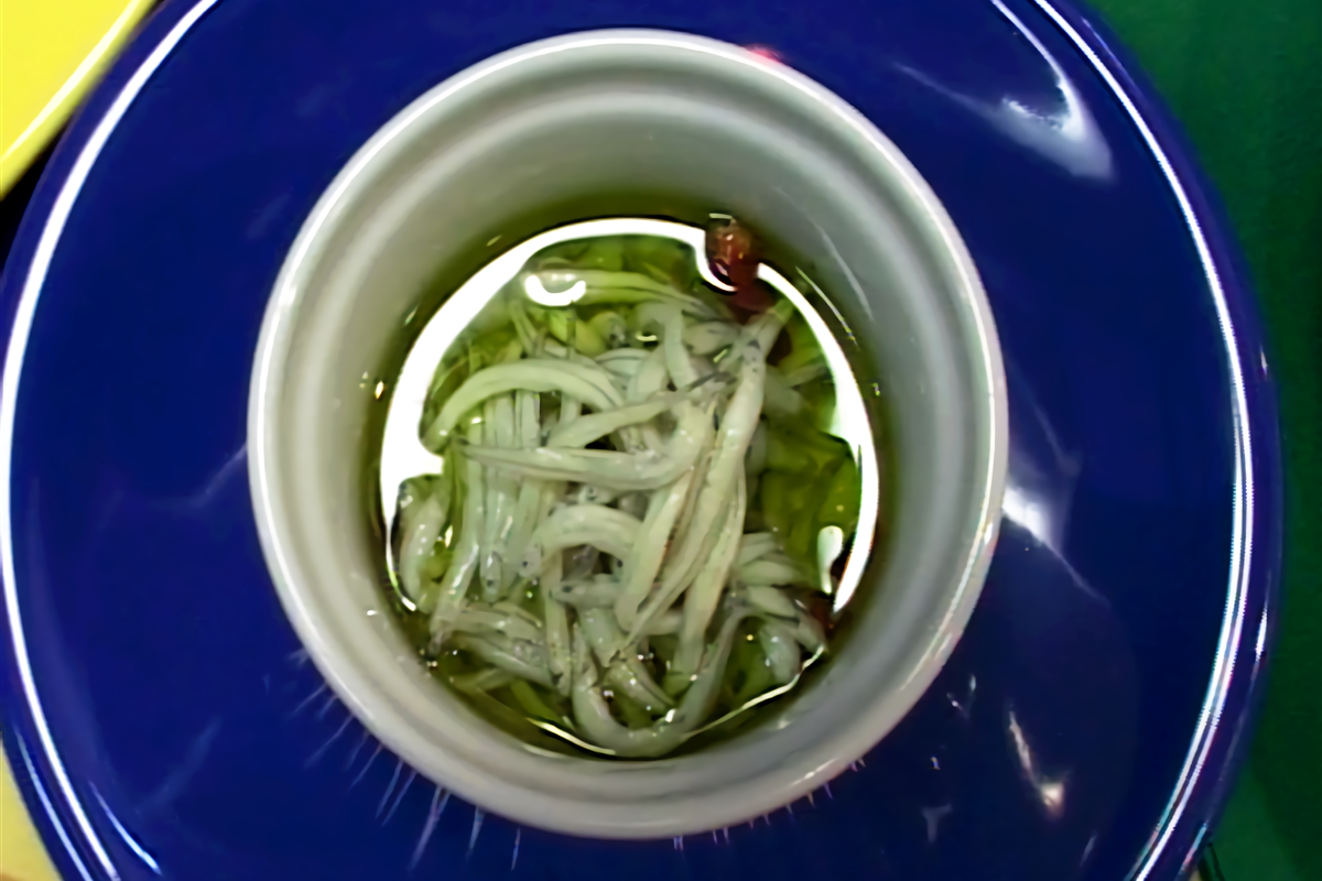 Angulas - El Gourmet