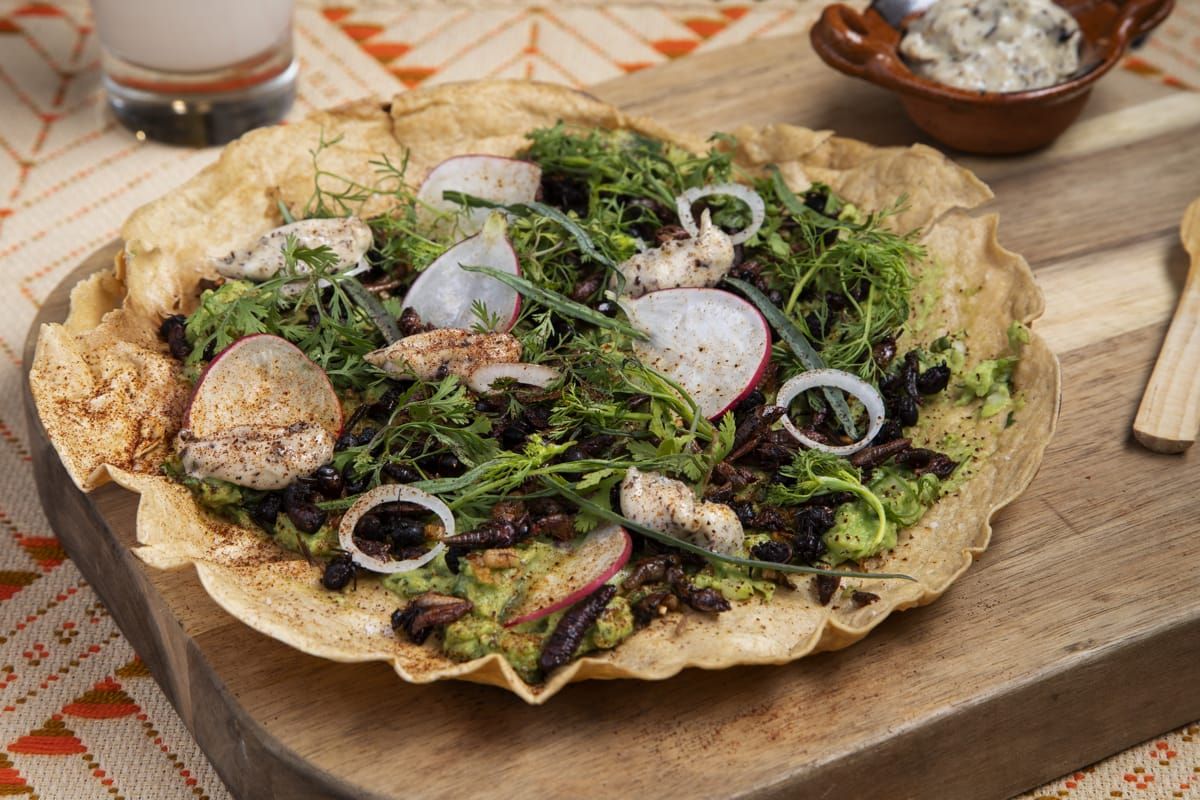 Tostada Insectos - El Gourmet