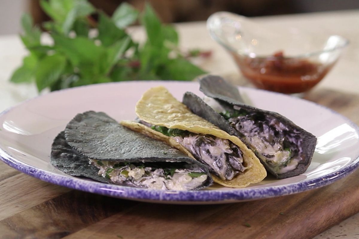 Tacos de Quintoniles - El Gourmet