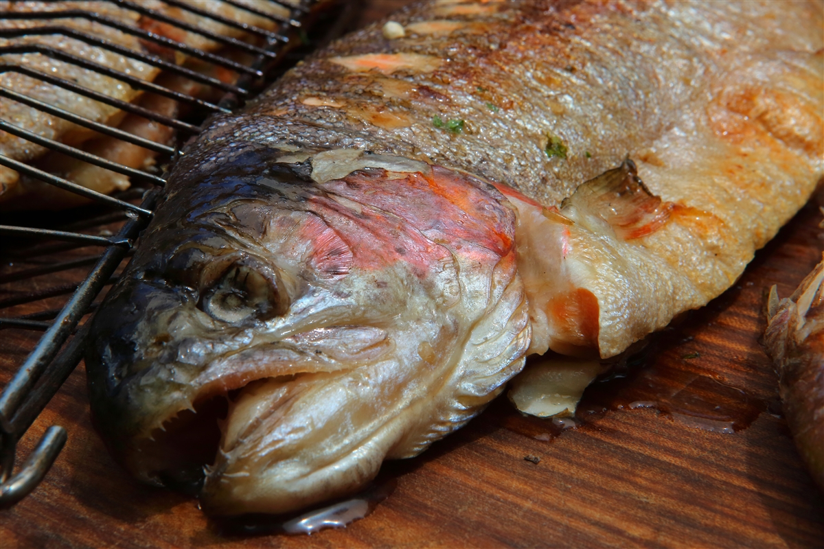 Trucha arco iris a la parrilla - El Gourmet